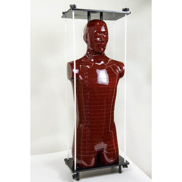 Alderson Radiation Therapy (ART) - Male Chest Phantom – GTSimulators.com
