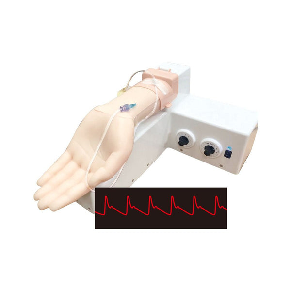 Arterial Puncture Training Arm Model resembles the human arm. Arterial ...