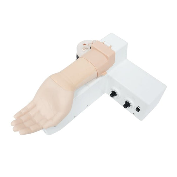 Arterial Puncture Training Arm Model resembles the human arm. Arterial ...