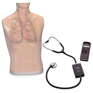 Auscultation Trainers, Simulators and Manikins – GTSimulators.com