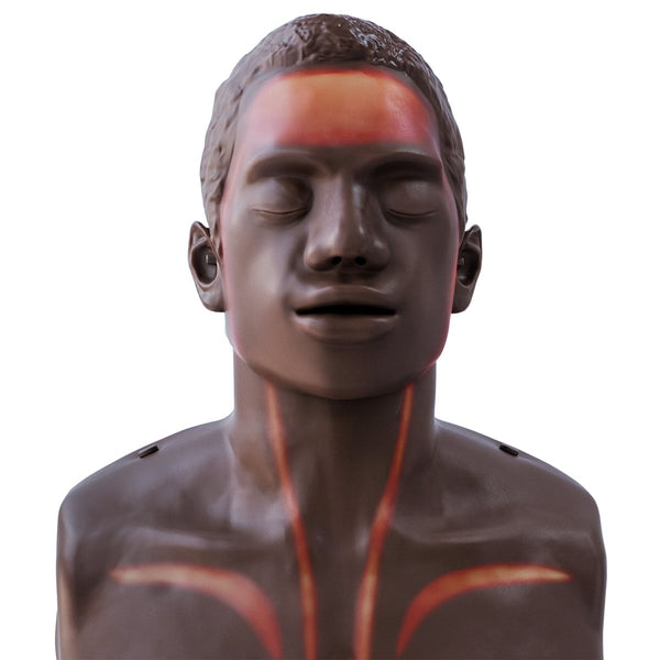 Brayden OBI Pro CPR Training Manikin, Dark Skin – GTSimulators.com