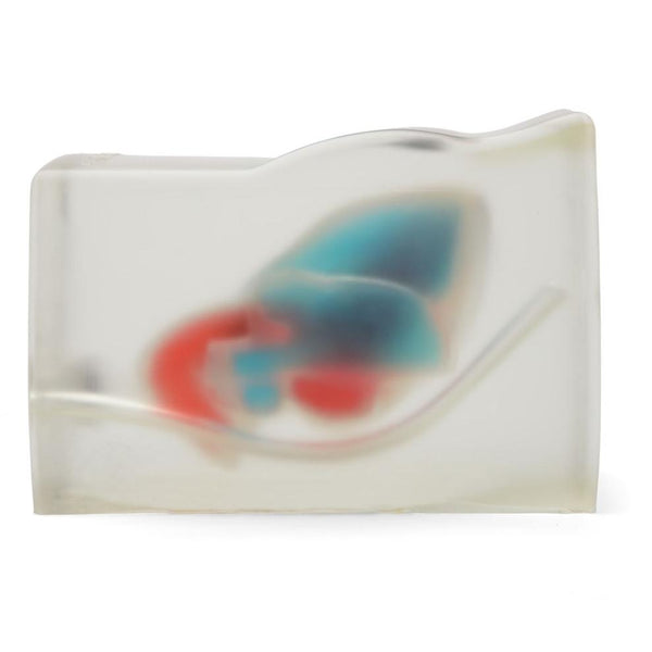 Cardiac Echo Ultrasound Training Model | CAE Blue Phantom ...