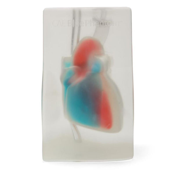 Cardiac Echo Ultrasound Training Model | CAE Blue Phantom ...