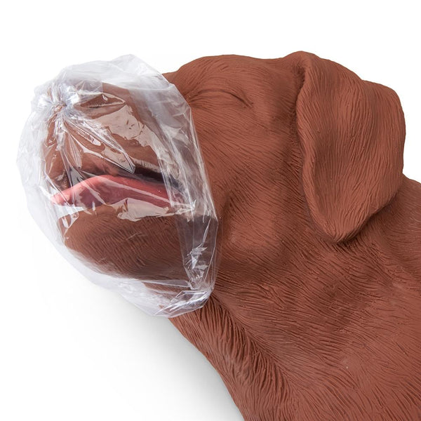 CasPeR The CPR Dog Manikin – GTSimulators.com