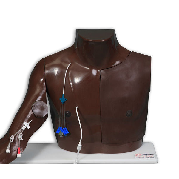Chester Chest™ Vascular Access Simulator With Port Access Arm, Dark ...