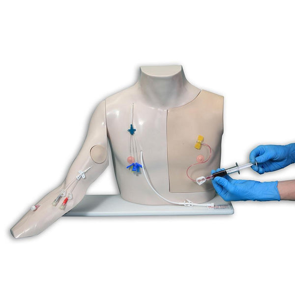 Chester Chest™ Vascular Access Simulator With Port Access Arm, Light ...