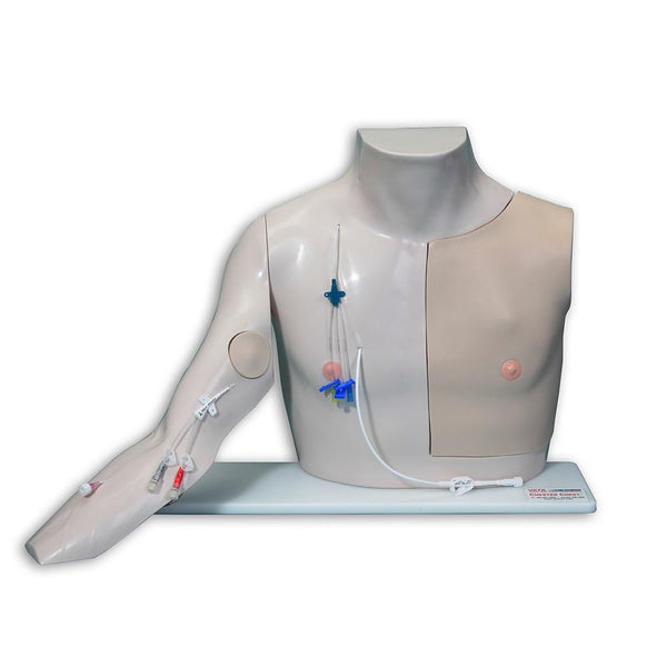 Chester Chest™ Vascular Access Simulator With Port Access Arm, Light ...