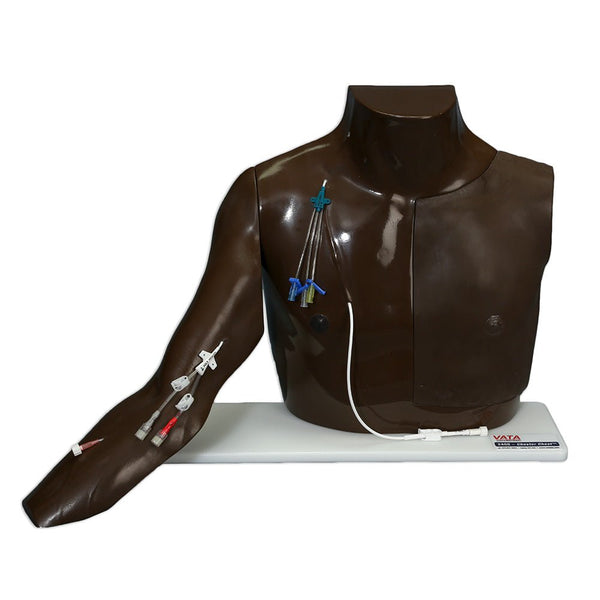 Chester Chest™ Vascular Access Simulator With Standard Arm, Dark ...
