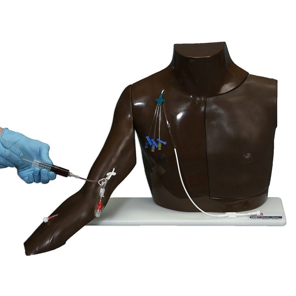 Chester Chest™ Vascular Access Simulator With Standard Arm, Dark ...