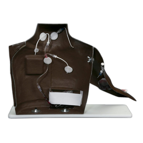 Chester Chest™ Vascular Access Simulator With Standard Arm, Dark ...