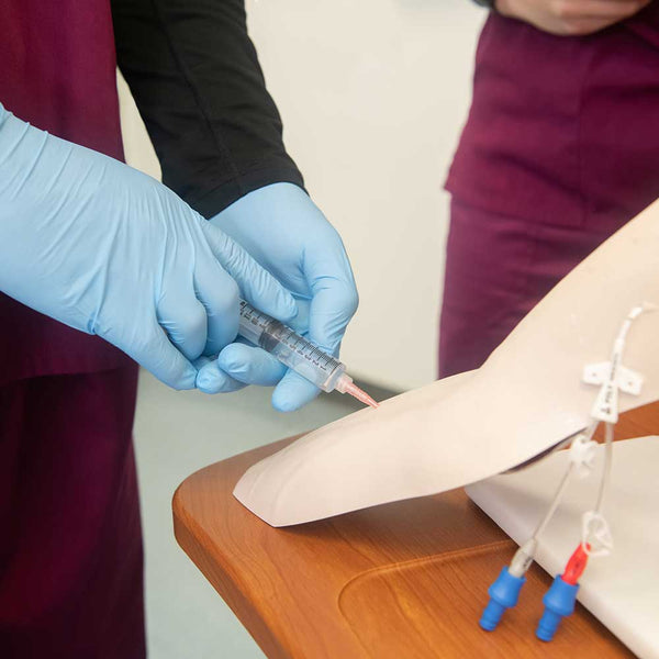 Chester Chest™ Vascular Access Simulator With Standard Arm, Light ...