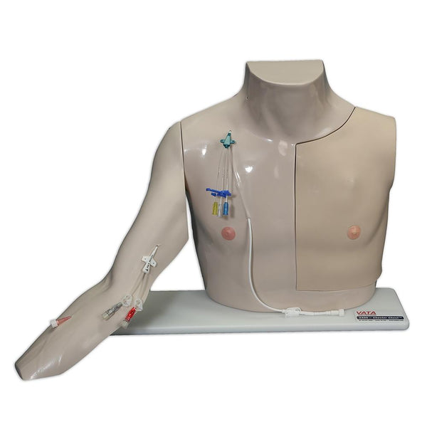 Chester Chest™ Vascular Access Simulator With Standard Arm, Light ...