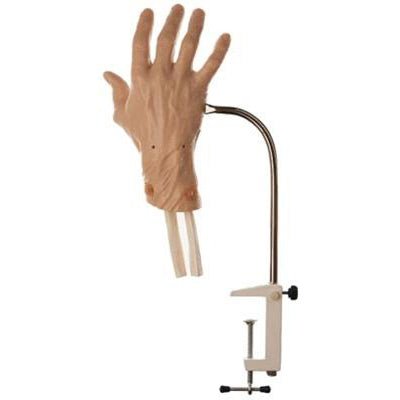 Wrist Arthroscopy Model | Arthroscopic Model of the Wrist ...