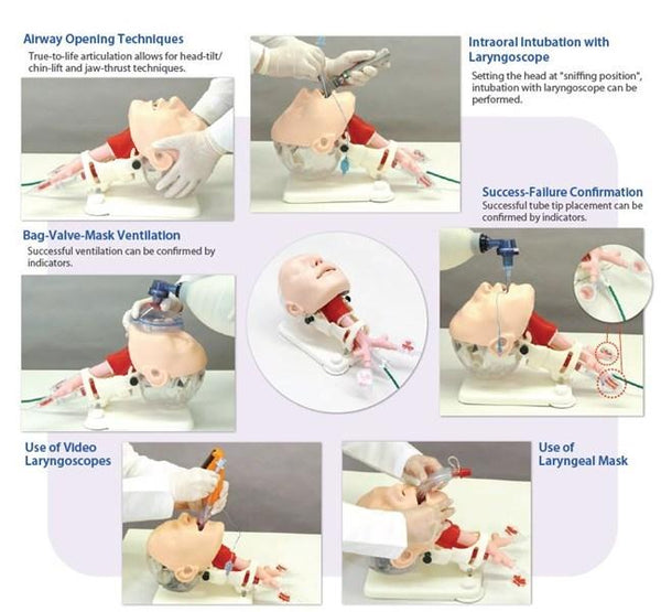 Difficult Airway Management Demonstration Model – GTSimulators.com