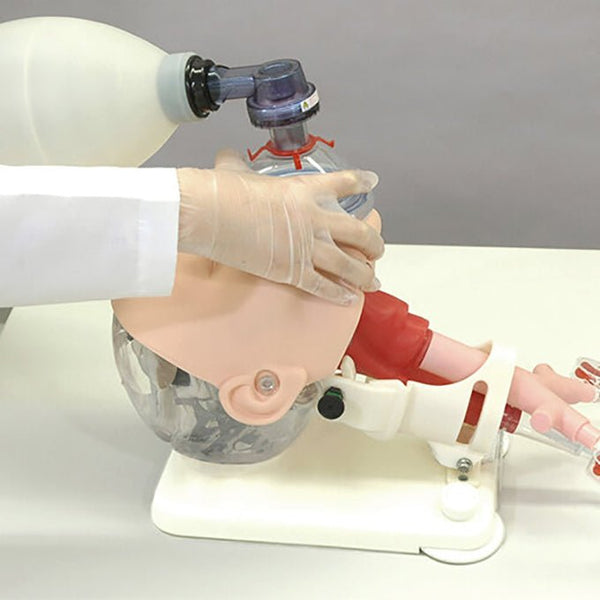 Difficult Airway Management Demonstration Model – GTSimulators.com