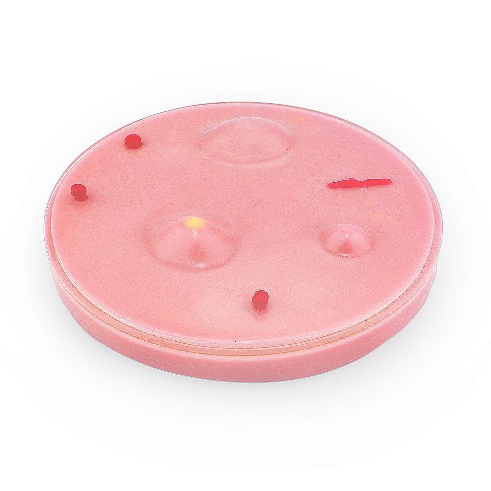 Dissection Disc Training Simulator – GTSimulators.com