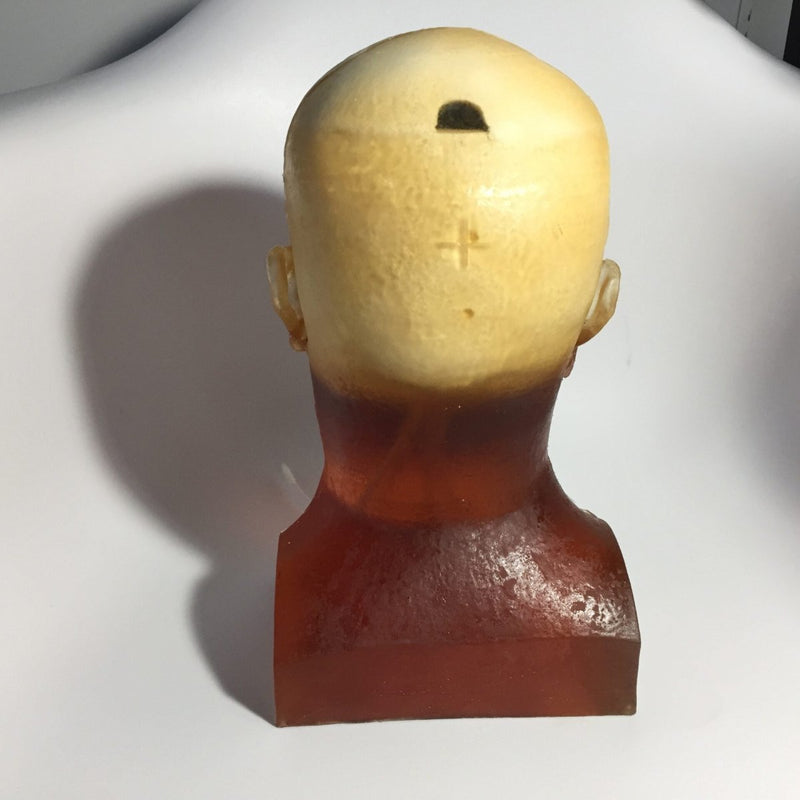 Dynamic Adult Head Phantom for Ultrasound, MRI and CT applications ...