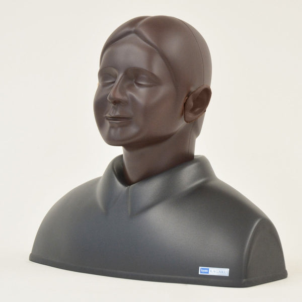 Ear Examination Simulator II – GTSimulators.com