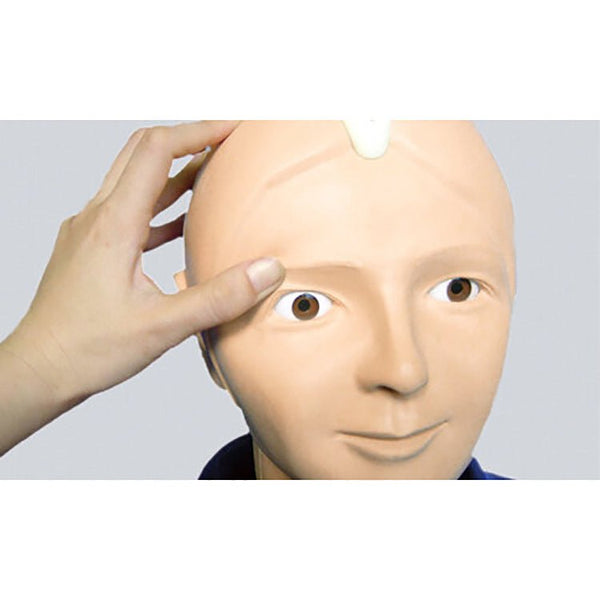 EYE Examination Simulator (3 Steps) – GTSimulators.com