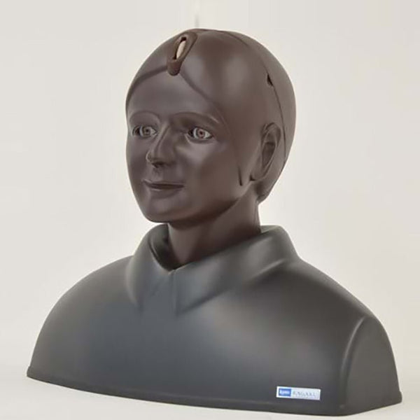 EYE Examination Simulator (3 Steps) – GTSimulators.com