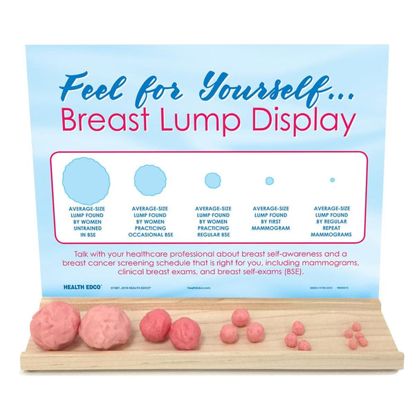 Feel For Yourself: Breast Lump Display – GTSimulators.com