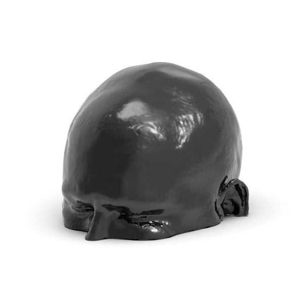 Stroke / Bleed Head Phantom for CT Scan and X-Ray Training ...