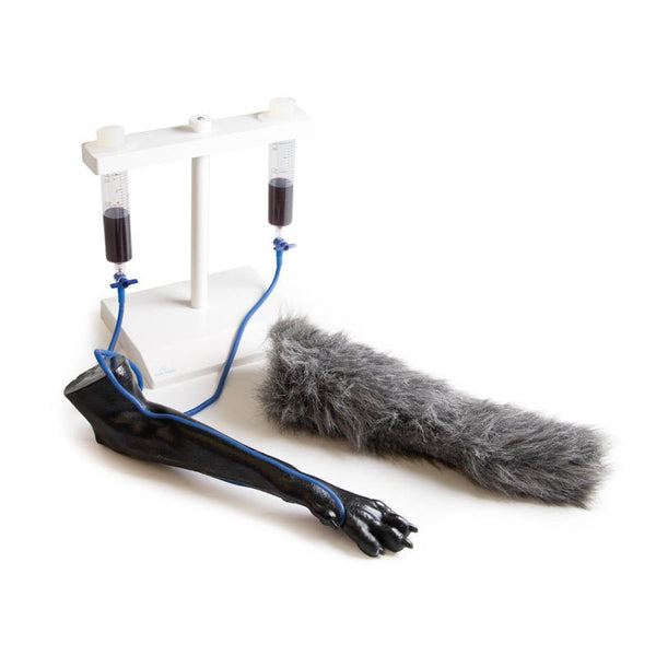 IV. Injection Leg Canine – GTSimulators.com