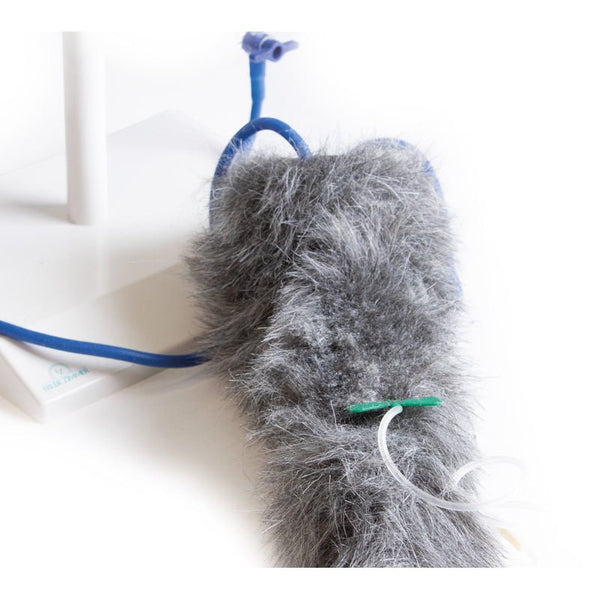 IV. Injection Leg Canine – GTSimulators.com