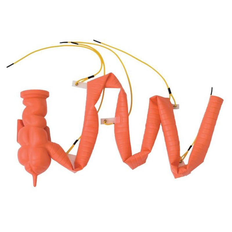 Koken Colonoscopy (Lower GI Endoscopy) Simulator Type II – GTSimulators.com