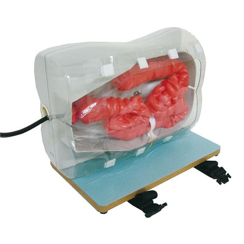 Koken Colonoscopy (Lower GI Endoscopy) Simulator Type II – GTSimulators.com