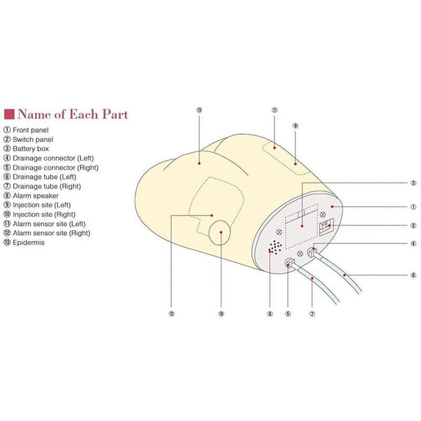 Koken Gluteal Intramuscular Injection Model II – GTSimulators.com
