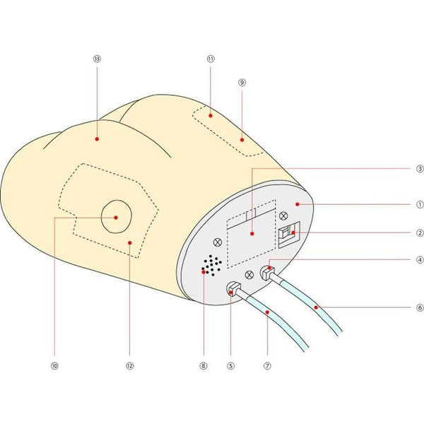 Koken Gluteal Intramuscular Injection Model – GTSimulators.com