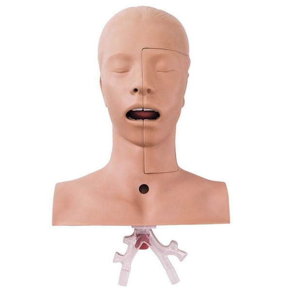 Koken Suction Training Model Type II – GTSimulators.com