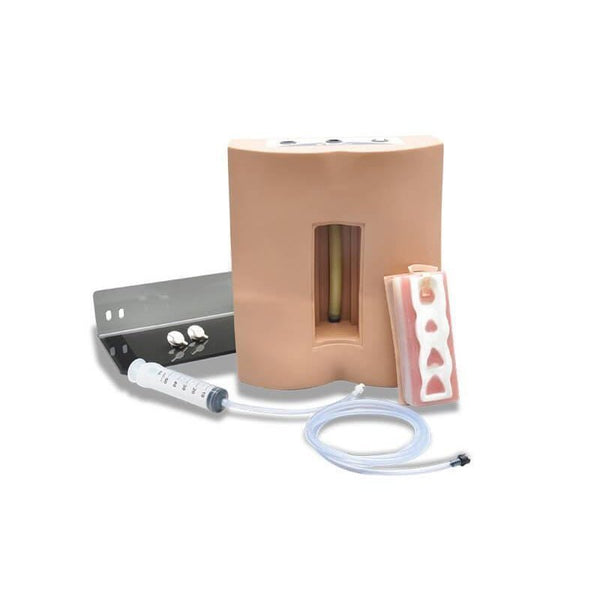 Lumbar Puncture Trainer, Dark – GTSimulators.com