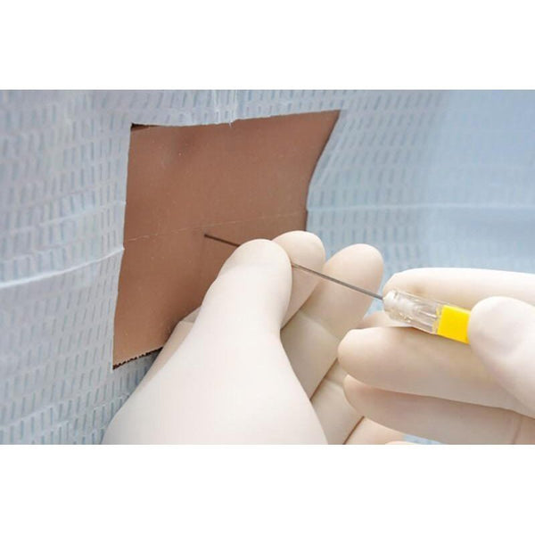 Lumbar Puncture Trainer, Dark – GTSimulators.com