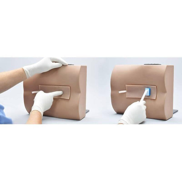 Lumbar Puncture Trainer, Light – GTSimulators.com