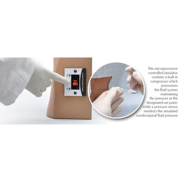 Lumbar Puncture Trainer, Medium – GTSimulators.com