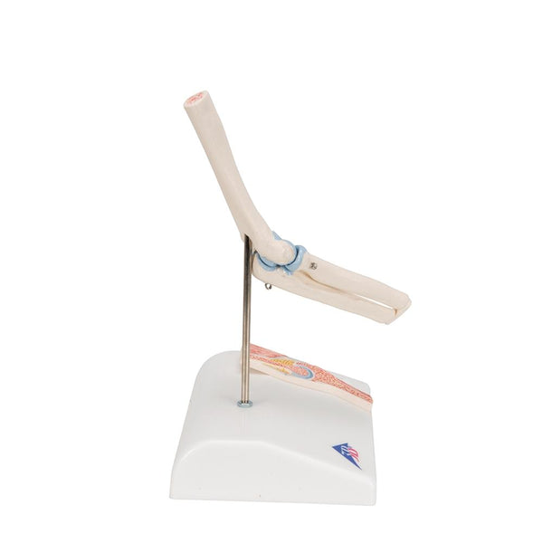 Mini Elbow Joint, with cross section, on base A87-1 – GTSimulators.com