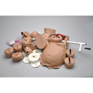 Birthing Simulators | Childbirth Training Simulation – GTSimulators.com