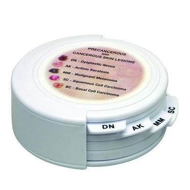 Anatomical Models for Students and Teachers – Tagged "Skin Models ...