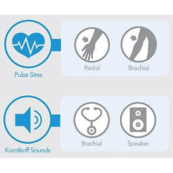 Pulse and Blood Pressure Assessment Simulator – GTSimulators.com