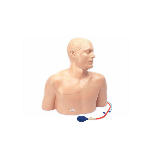 Regional Anesthesia and Ultrasound Central Line Training Model ...