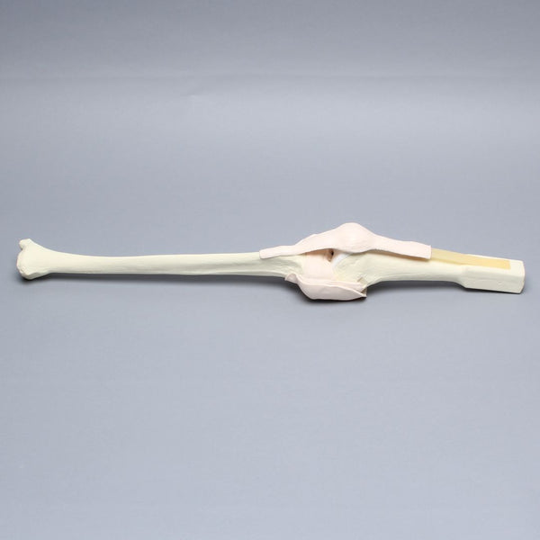 Replacement Knee Insert, Arthroscopy – GTSimulators.com