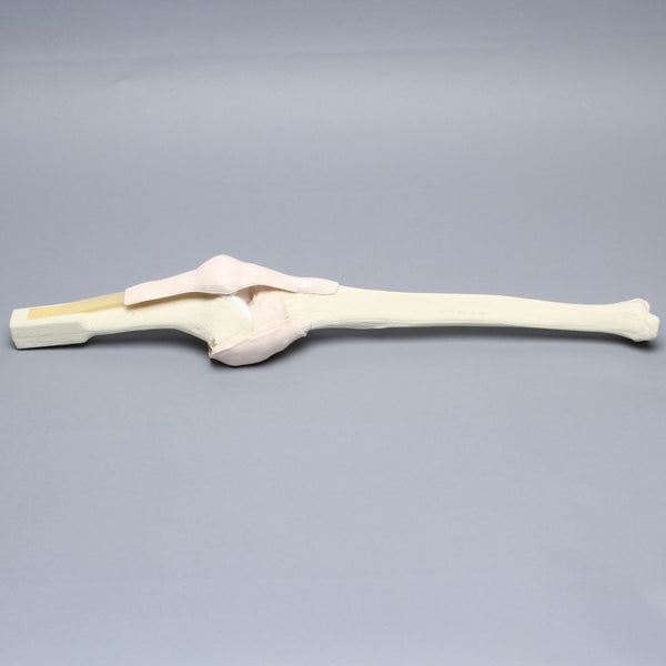 Replacement Knee Insert, Arthroscopy – GTSimulators.com