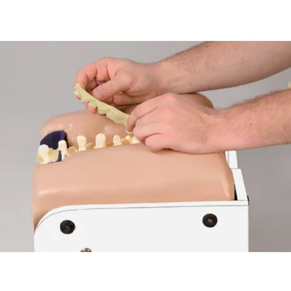 Spinal Injection Simulator – GTSimulators.com