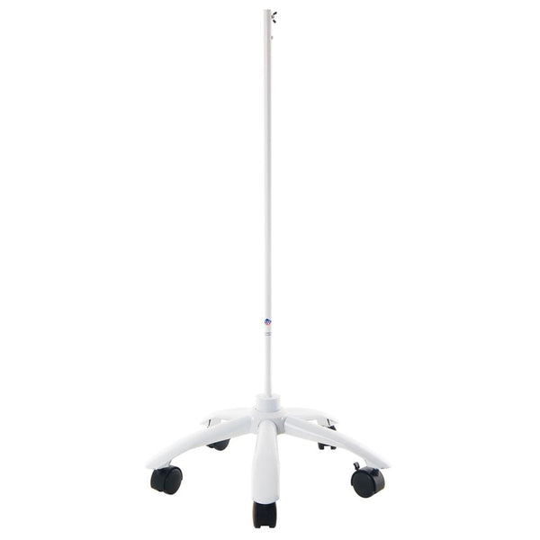 Stan Skeleton Model On Pelvic Stand – GTSimulators.com