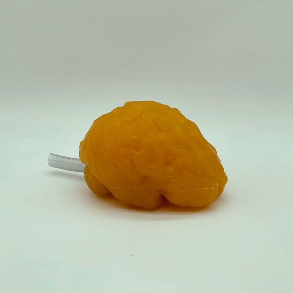 Standard Adult Brain Phantom for Ultrasound, MRI and CT applications ...