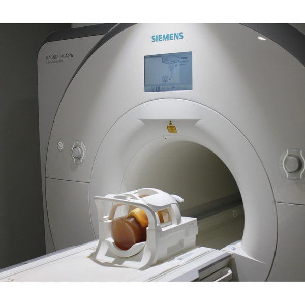 Static Adult Head Phantom for X-Ray CT, Ultrasound and MRI ...