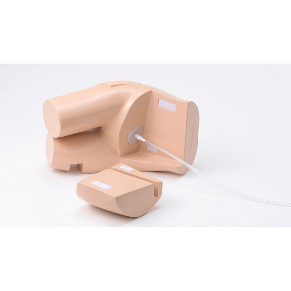 Stool Extraction and Enema Training Model – GTSimulators.com