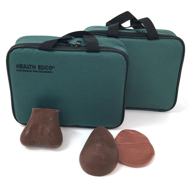 Teen BSE/TSE Model Kit, Brown HE-26496 – GTSimulators.com